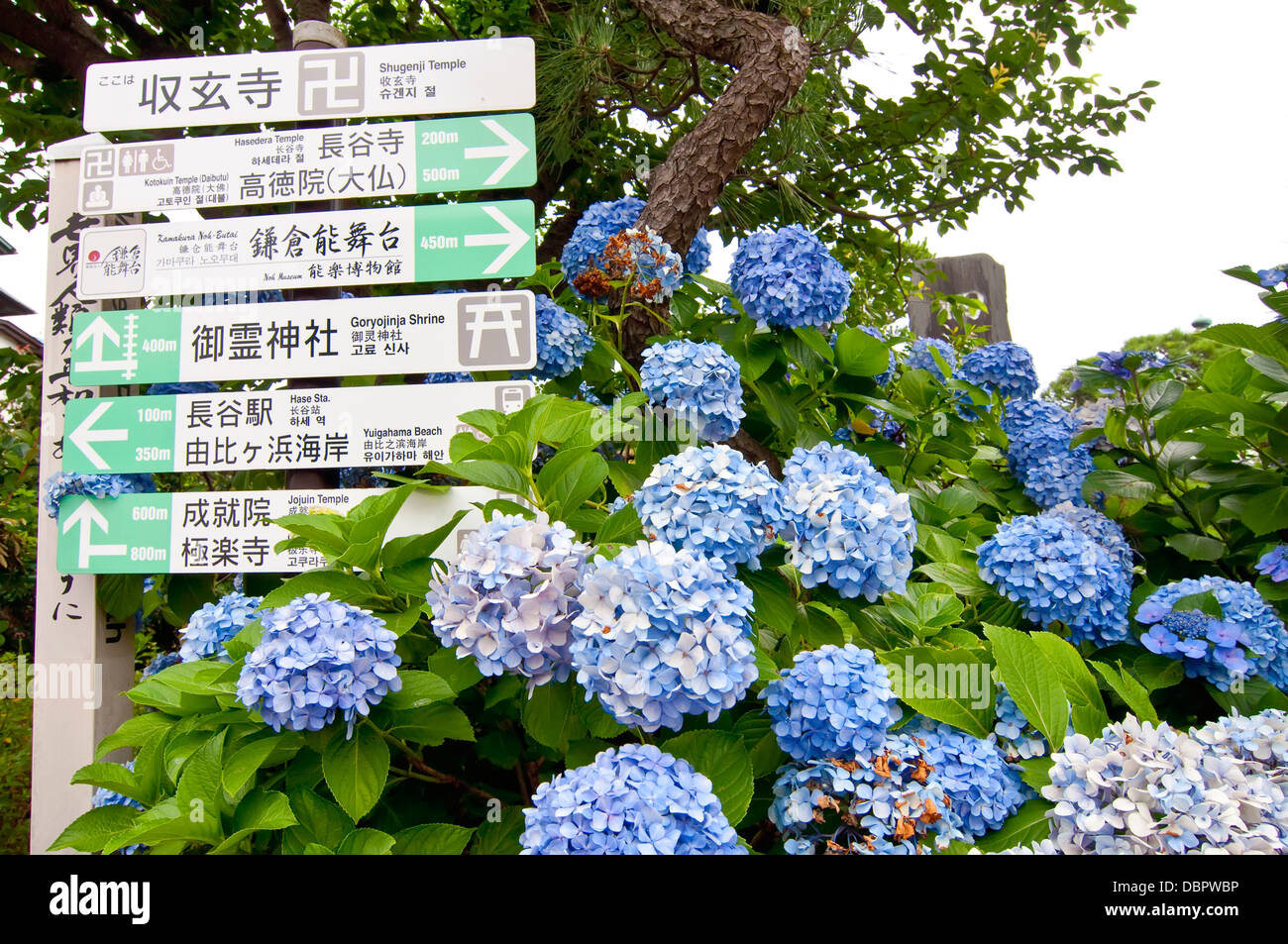 Japanese advertisement signs hi-res stock photography and images - Alamy