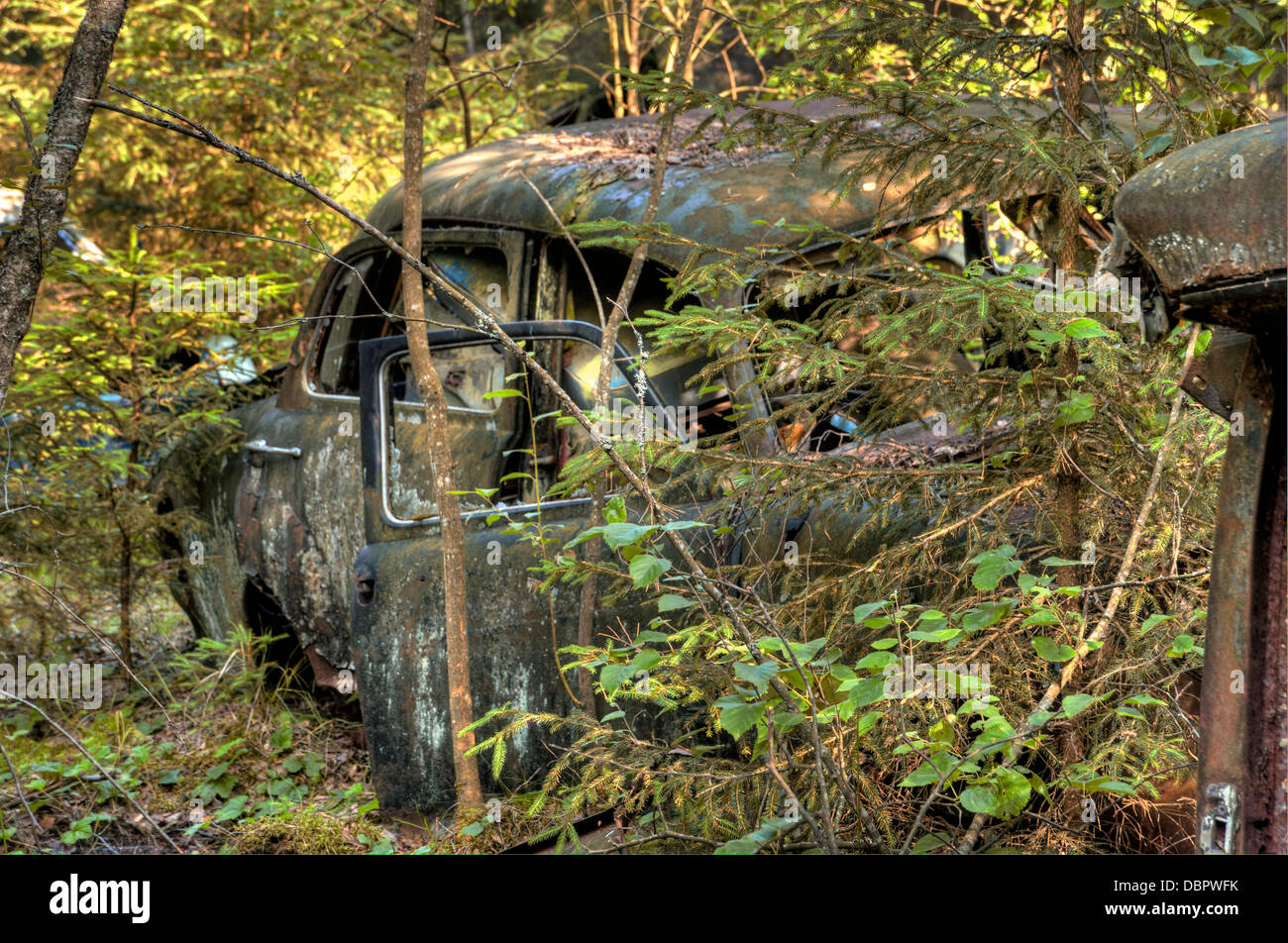 Car Dump Kirkö Mosse in Ryd, Sweden Stock Photo - Alamy