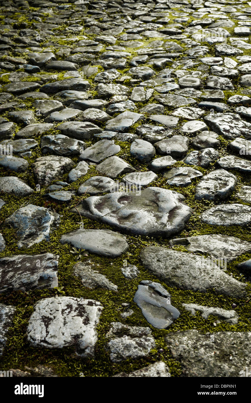 Mossy cobbles hi-res stock photography and images - Alamy