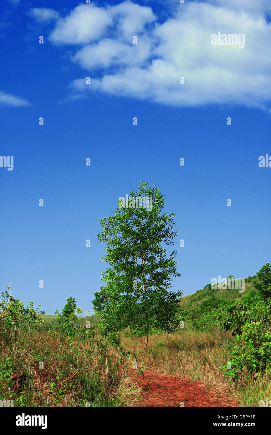 Woman hill beach hi-res stock photography and images - Alamy