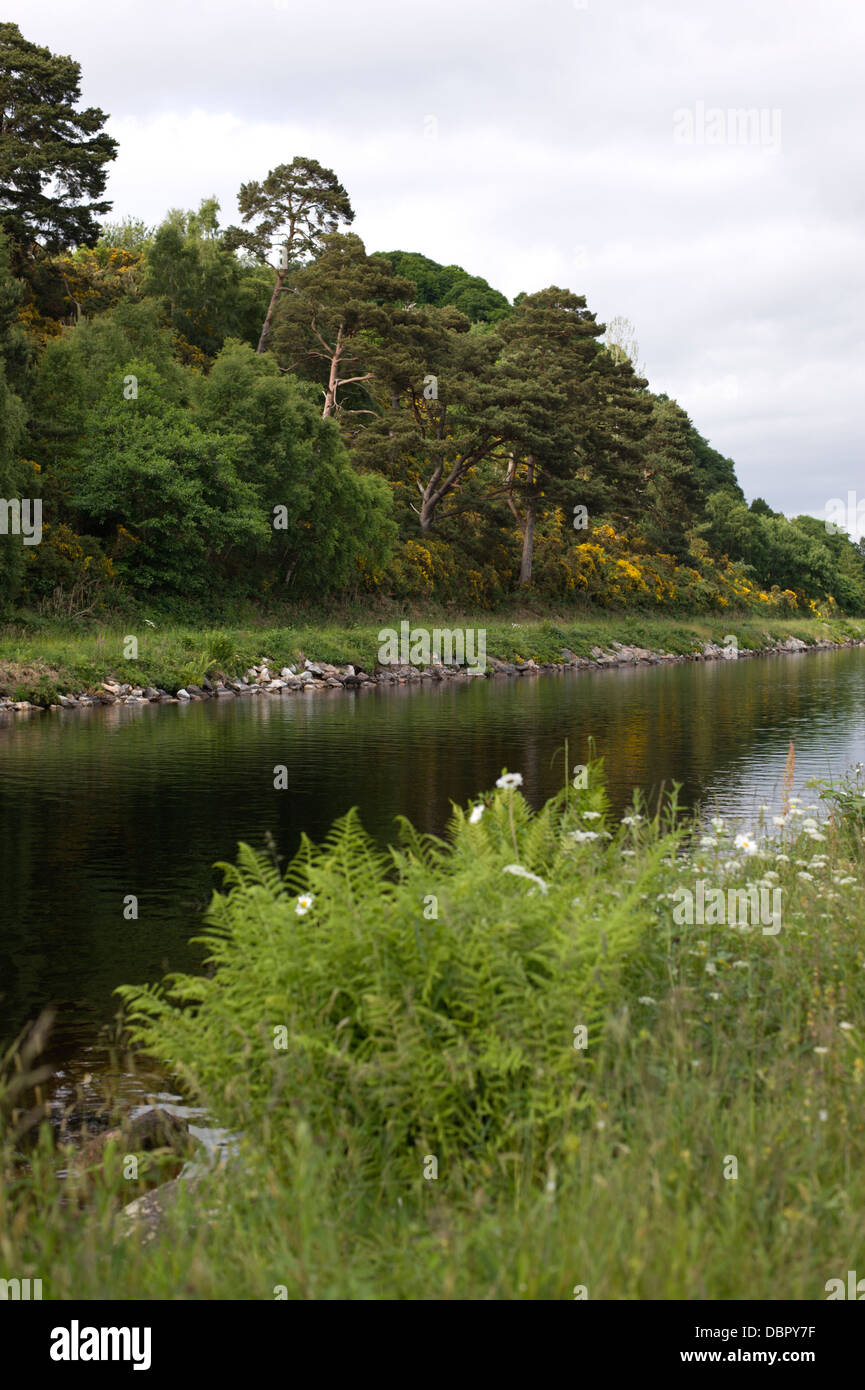 View of the Caledonian Canal near Inverness Scotland Stock Photo - Alamy