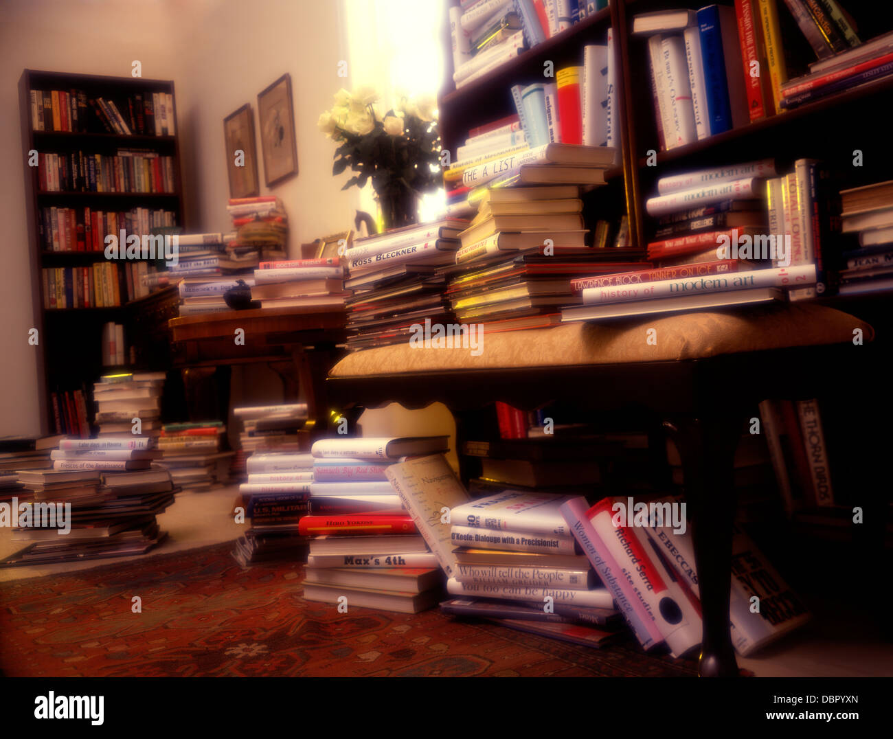 Book books library hi-res stock photography and images - Alamy