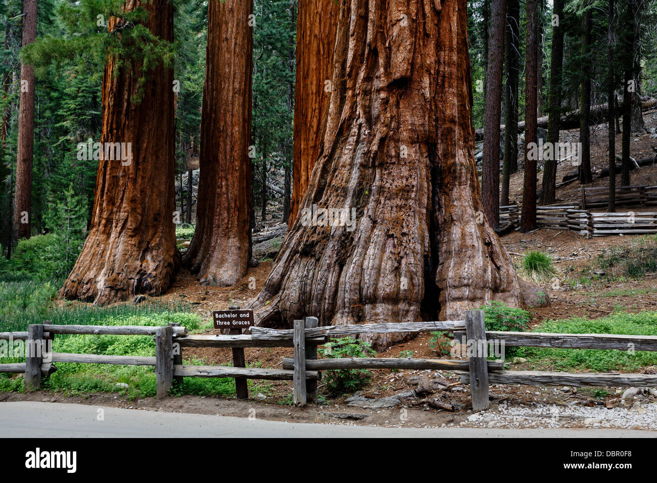 Enormous park hi-res stock photography and images - Alamy