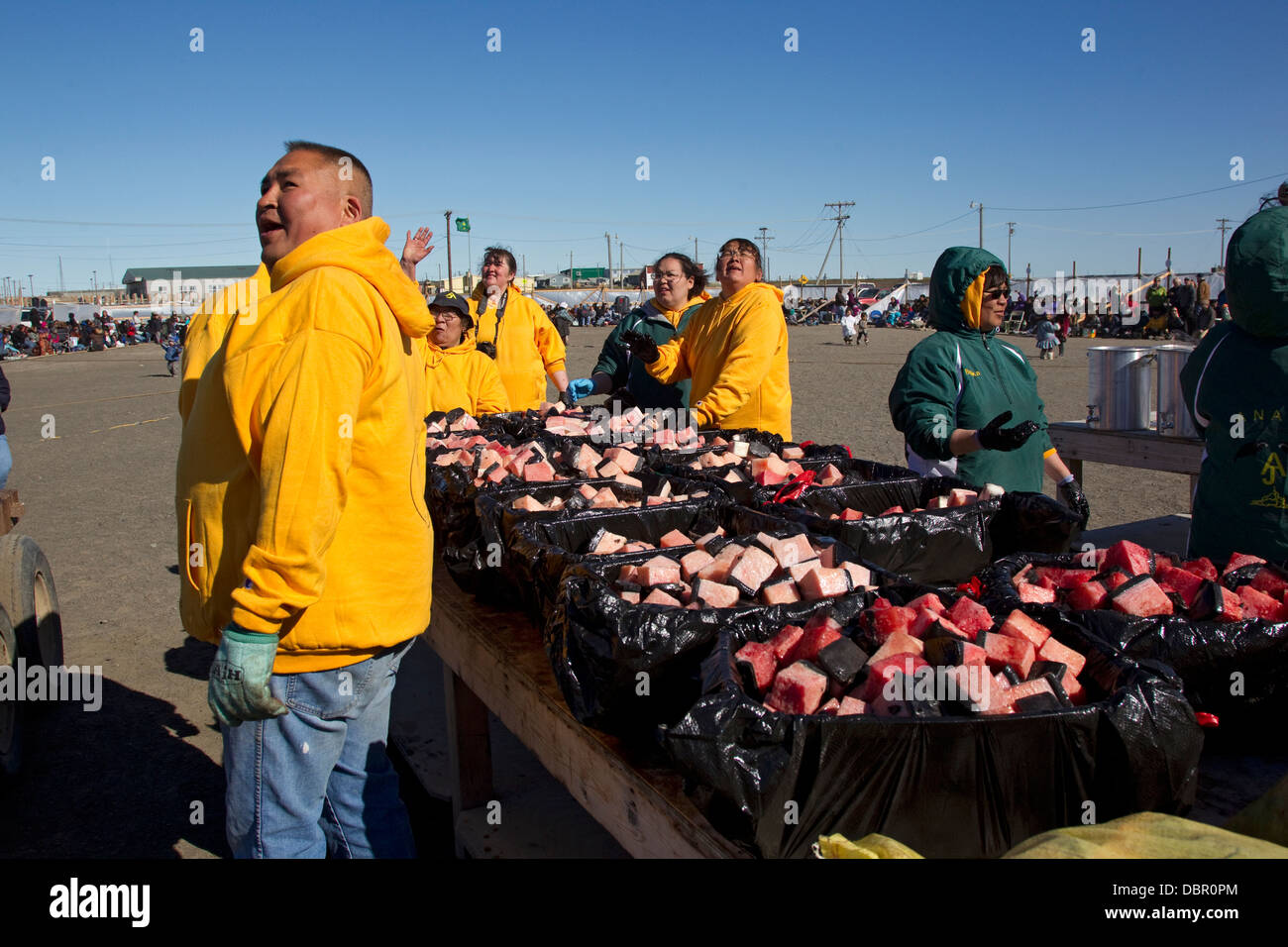 Muktuk distribution at Inupiat Nalukataq spring whaling festival ...