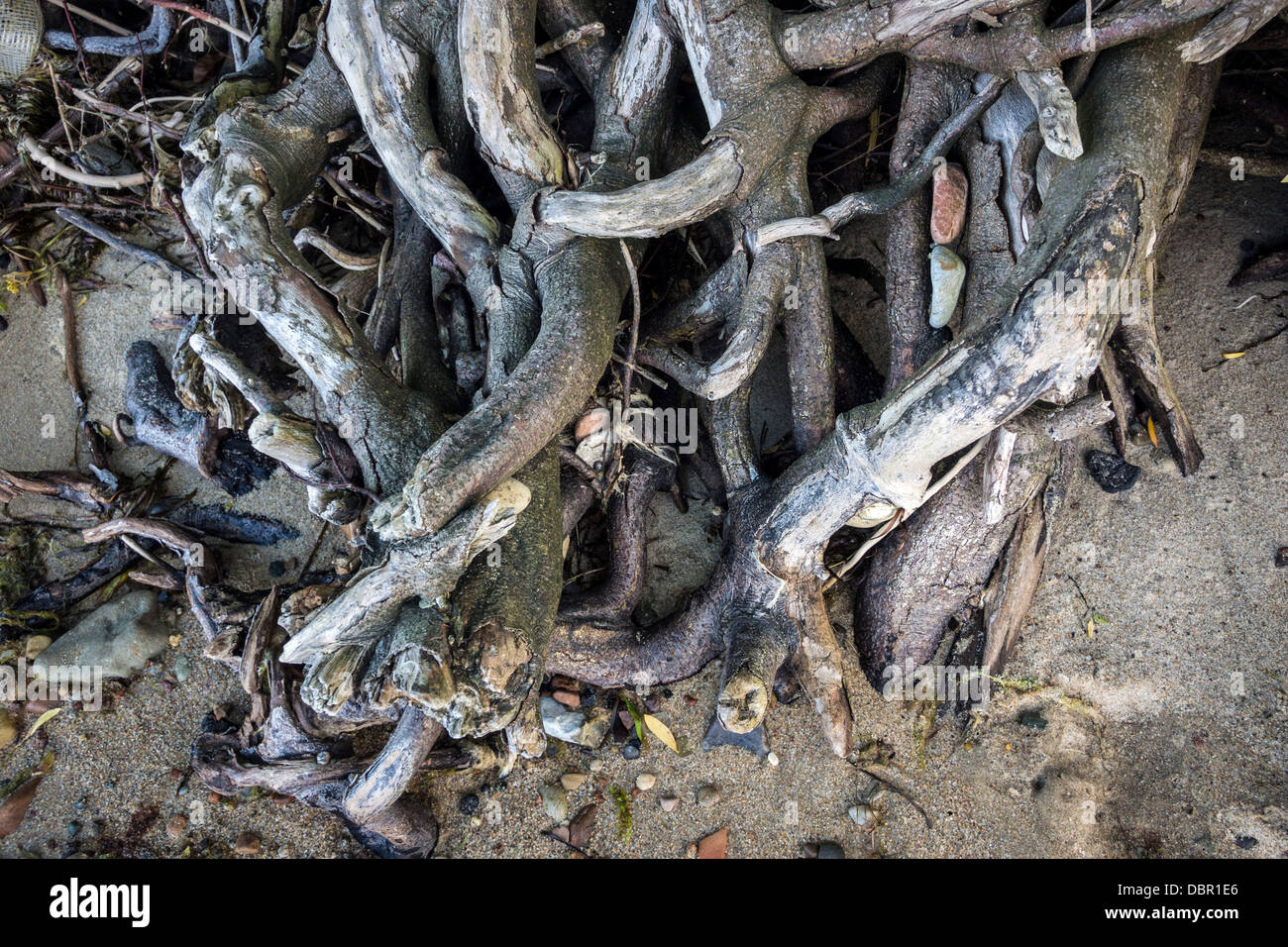 Wet Ground Scenery High Resolution Stock Photography and Images - Alamy