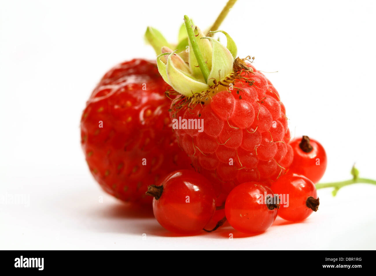 wild berry isolated on white background Stock Photo - Alamy