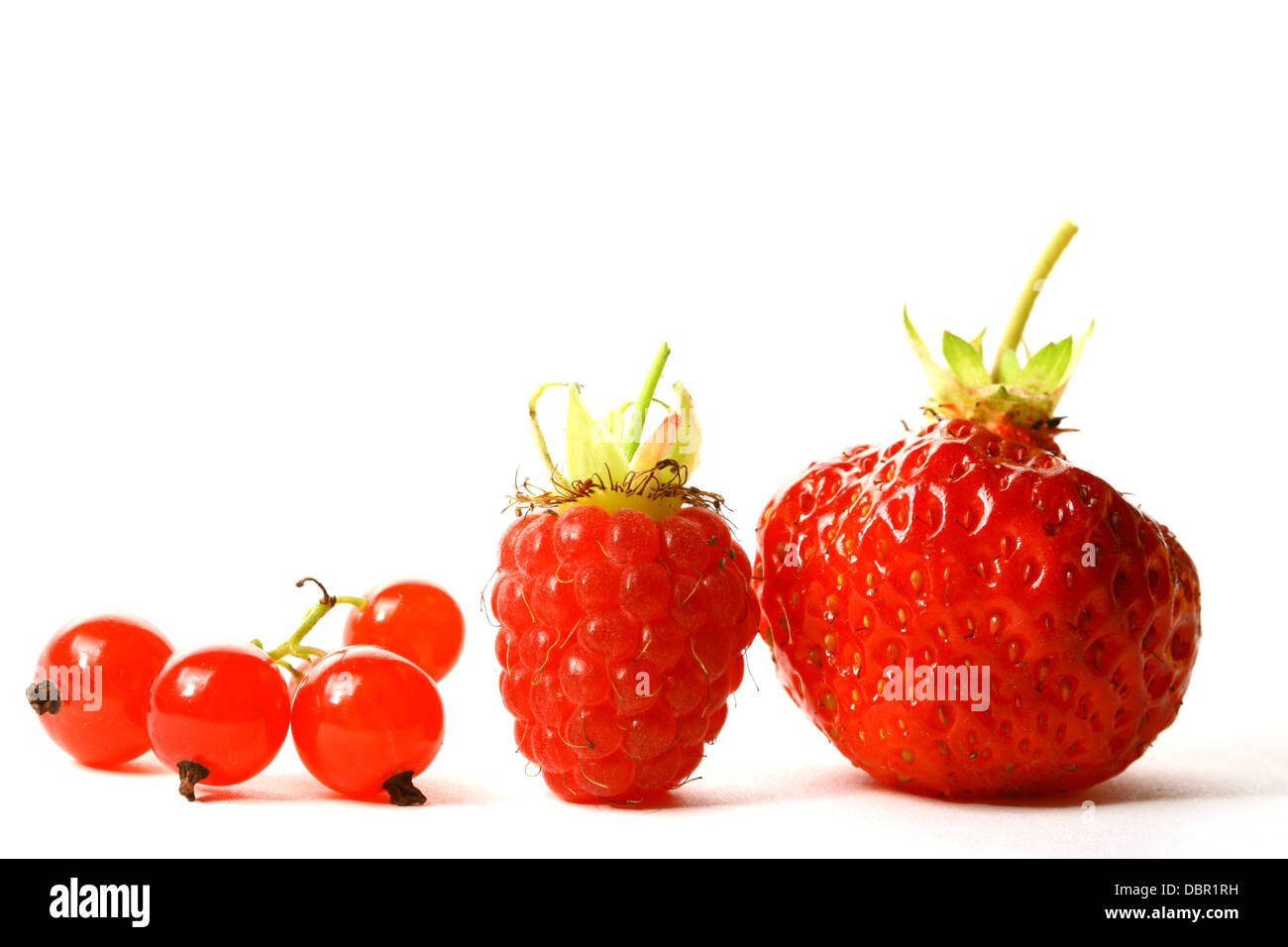 wild berry isolated on white background Stock Photo - Alamy