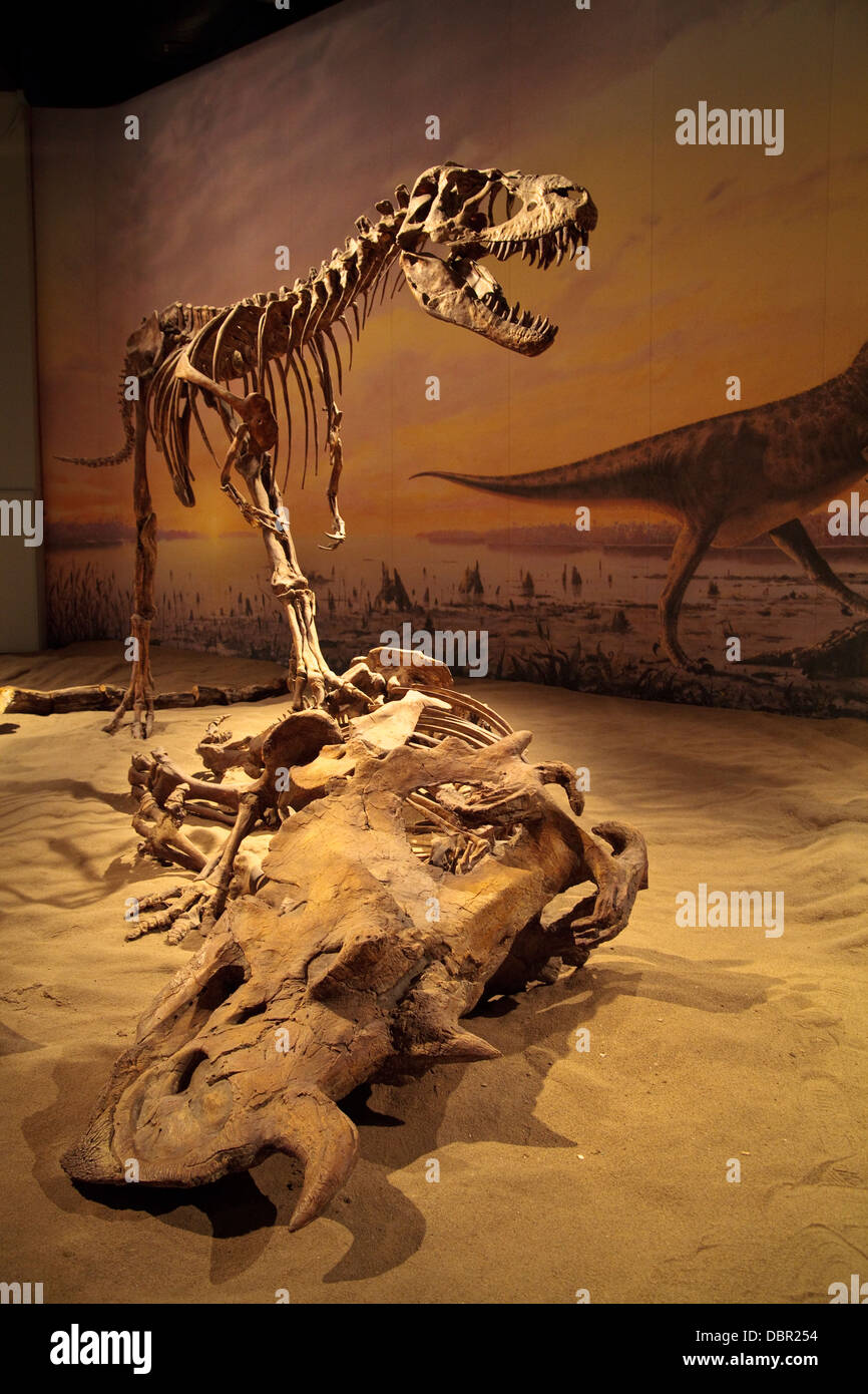 Royal Tyrrell Museum in Drumheller, Alberta Stock Photo - Alamy