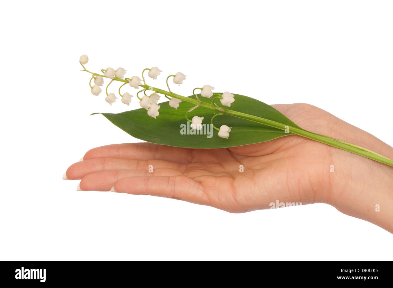 Green grass valley Cut Out Stock Images & Pictures - Alamy