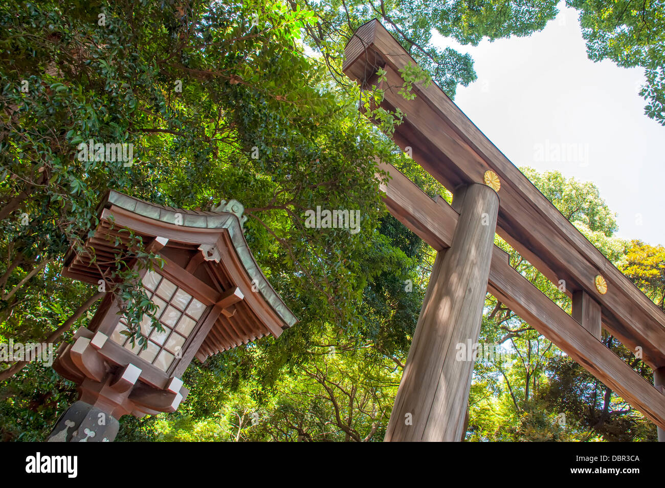 Tori Wood in one of the parks in Tokyo Stock Photo - Alamy