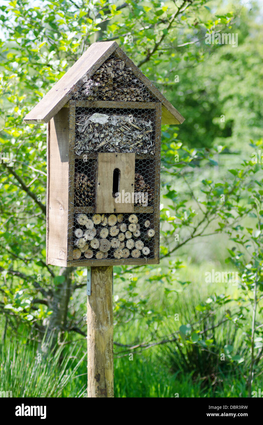 Insect Nest Box erected to encourage insect population growth Stock ...