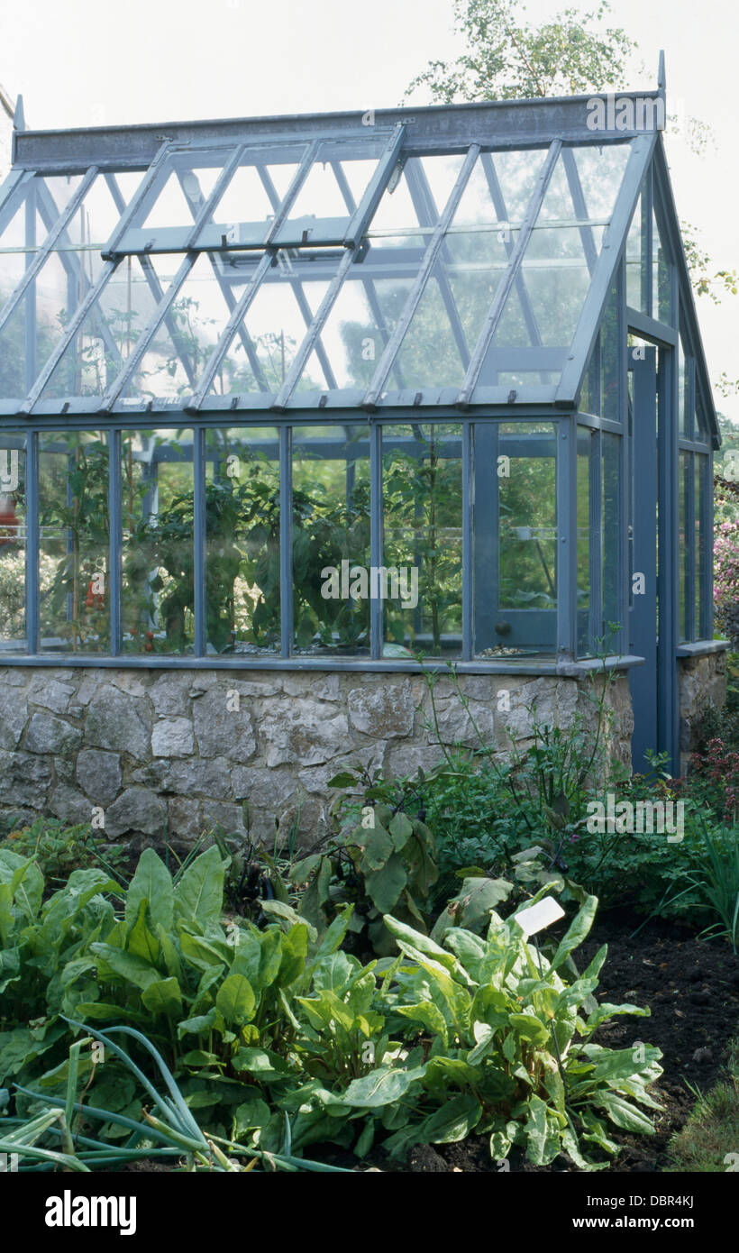 Small blue painted green house in country vegetable garden Stock Photo ...