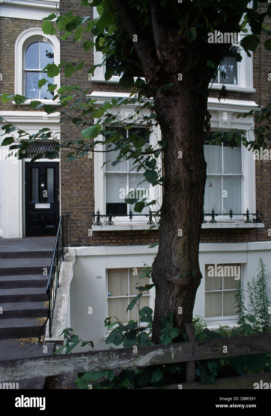 Tall tree in front of Victorian terraced townhouse in London Stock ...