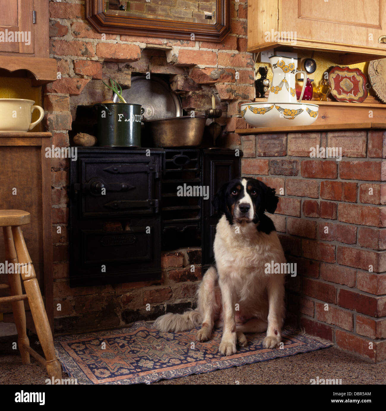 Black+white dog sitting in front of cast-iron stove in country kitchen ...