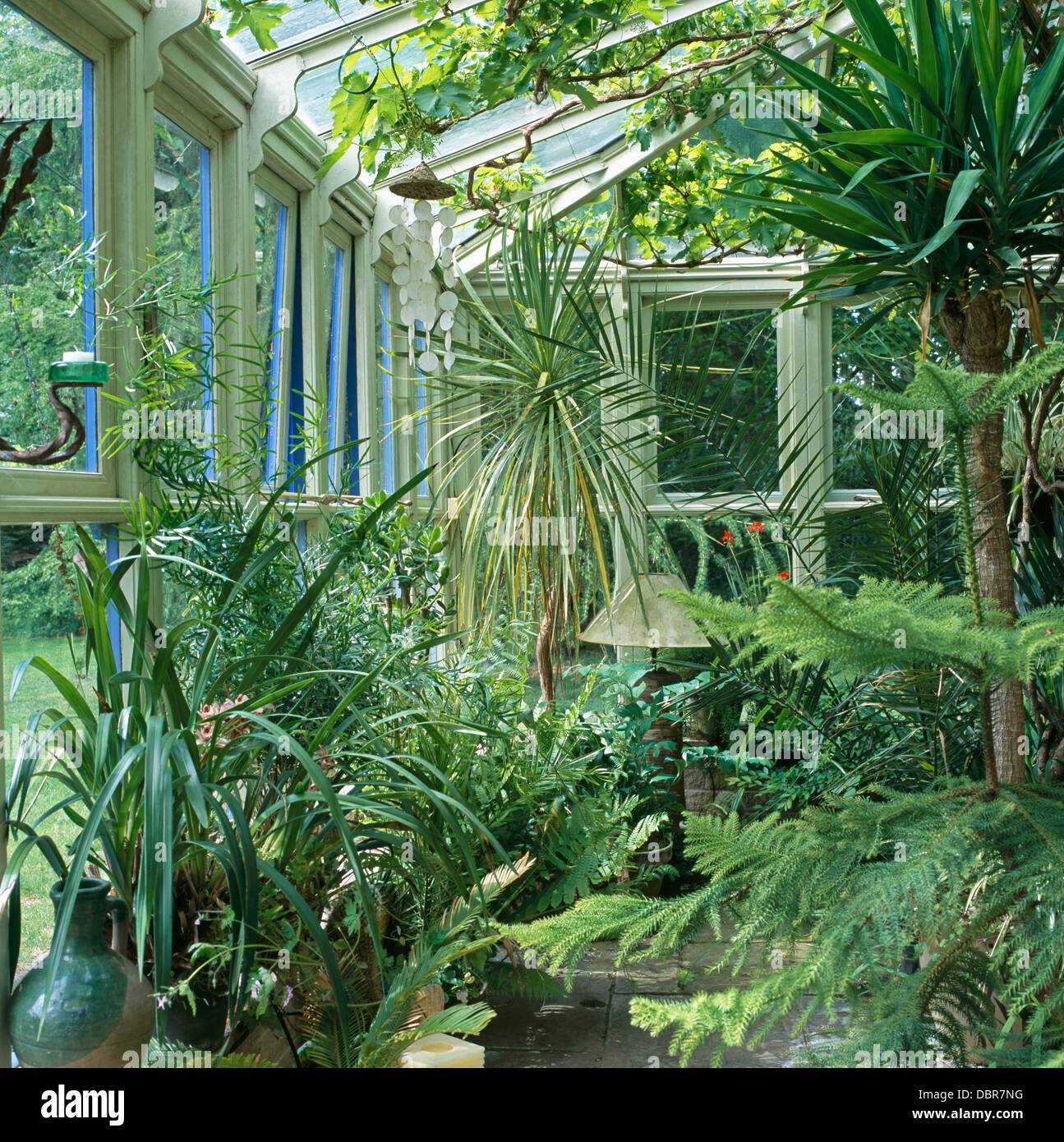 Interiors Traditional Conservatories Houseplants High Resolution Stock ...