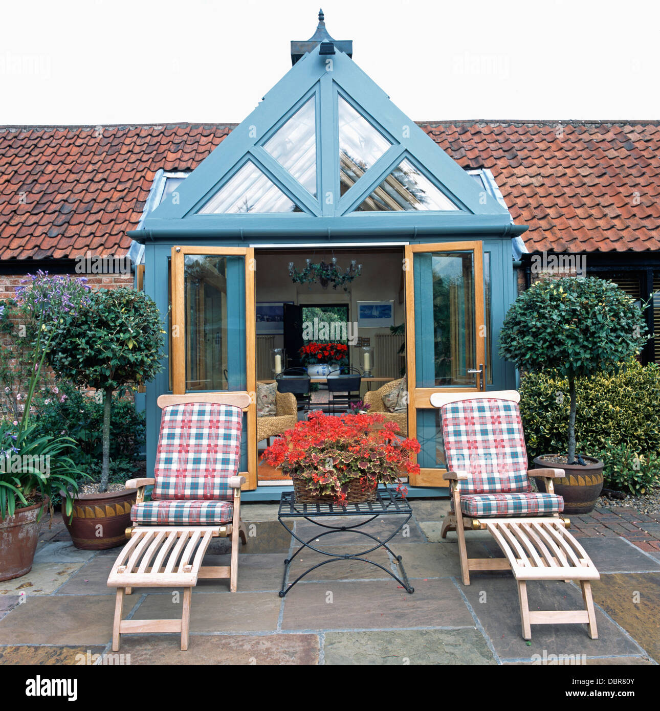 Clipped trees in pots beside wooden loungers on paved patio of barn ...