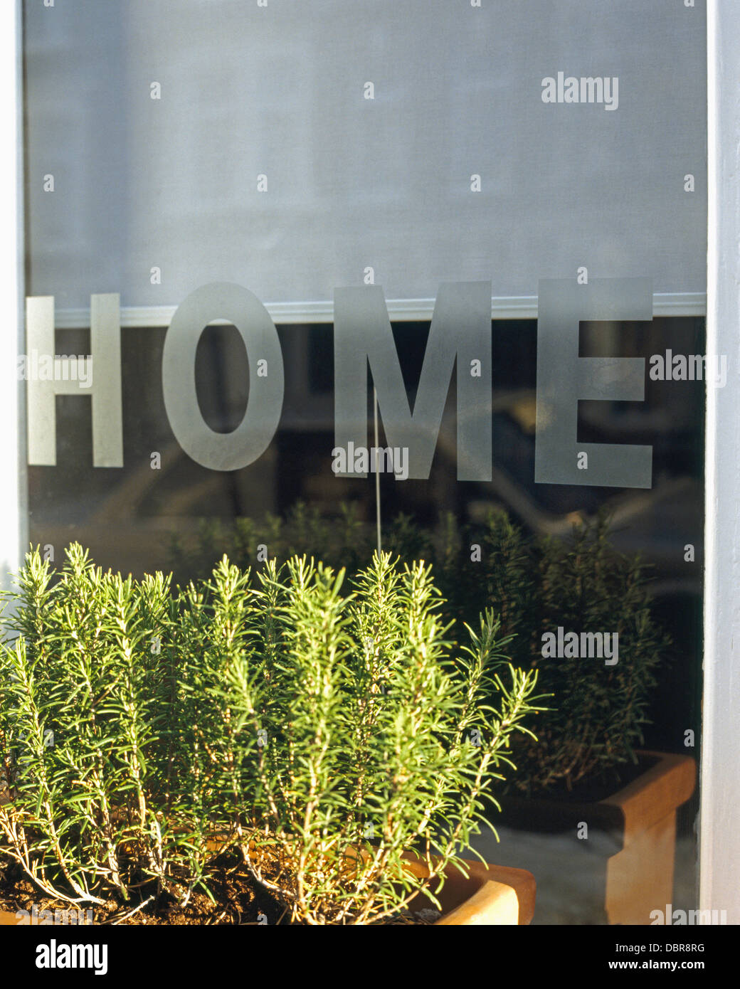 Plants engraved hi-res stock photography and images - Alamy