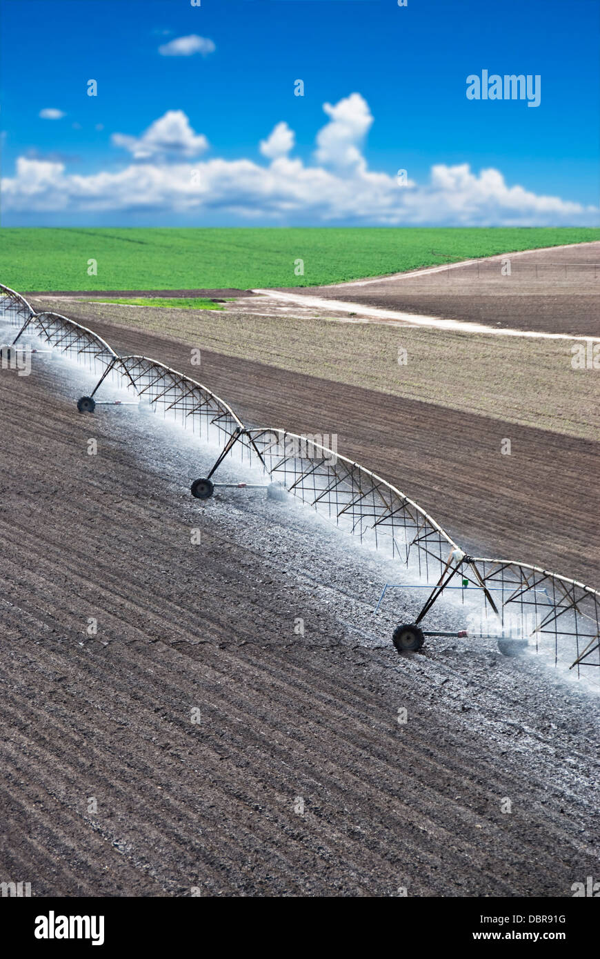 Drip irrigation system crop hi-res stock photography and images - Alamy