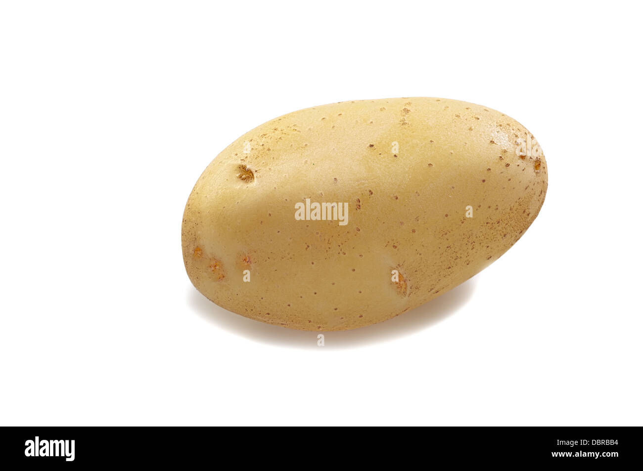 One potato on a white background Stock Photo - Alamy