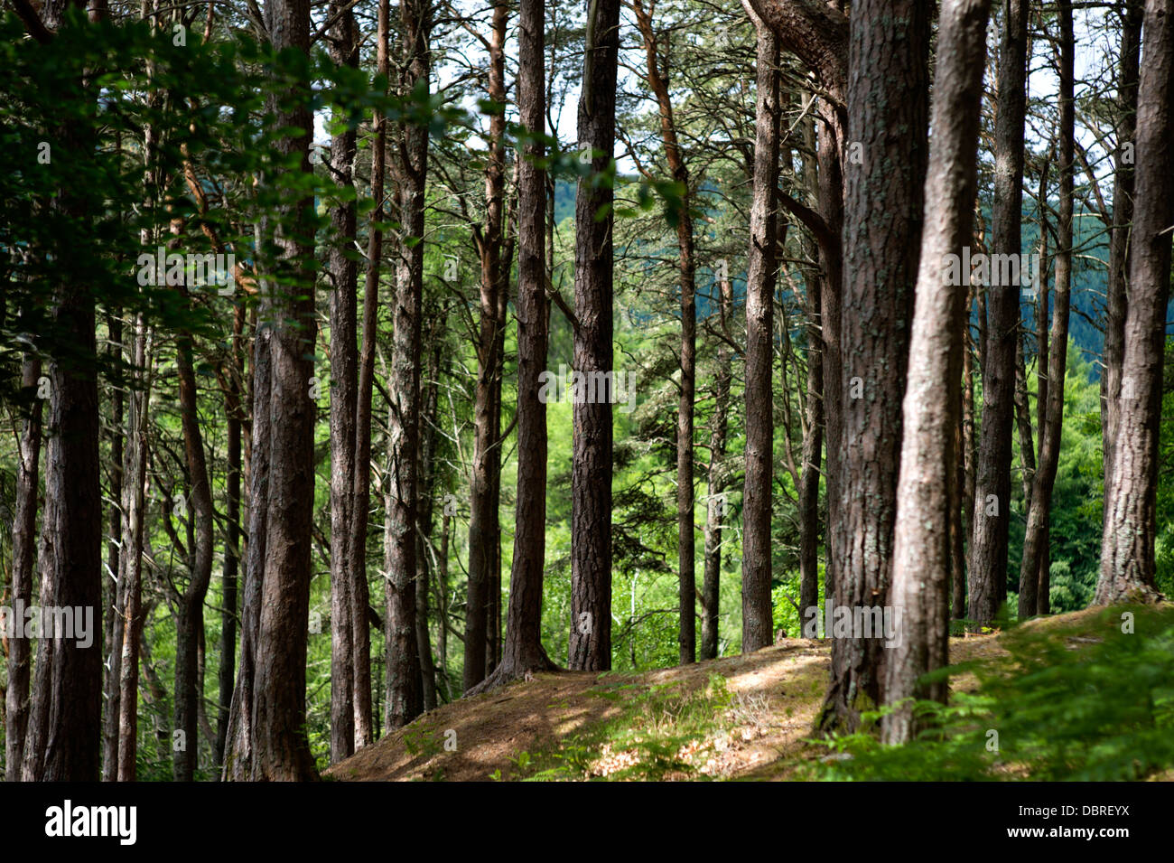 Foyer falls hi-res stock photography and images - Alamy