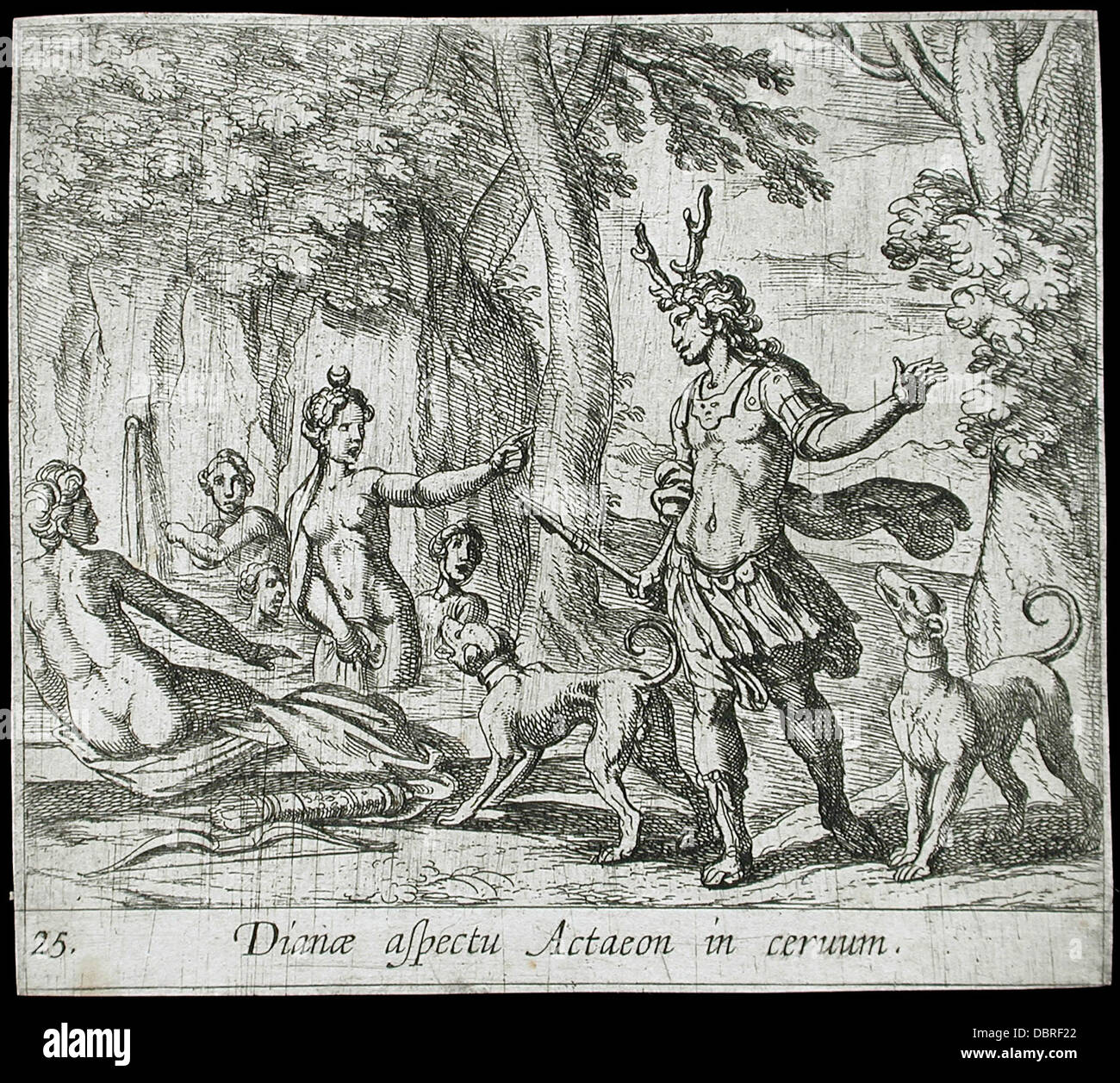 Actaeon changed into a stag hi-res stock photography and images - Alamy