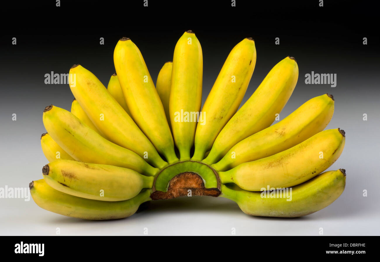 Bananas right off the tree Stock Photo - Alamy