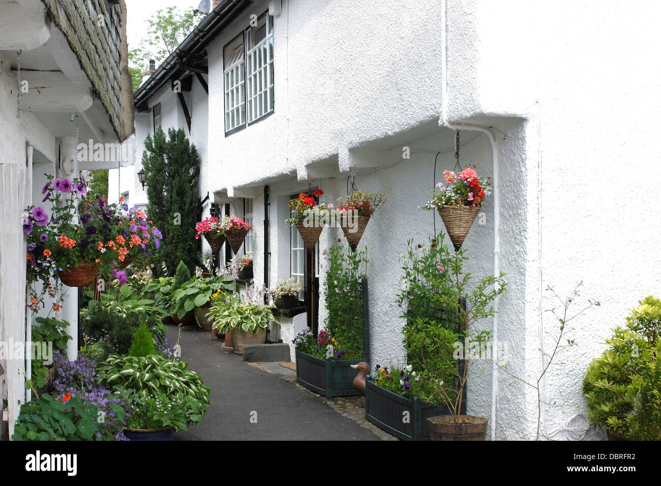 Beautiful floral display displays hi-res stock photography and images ...