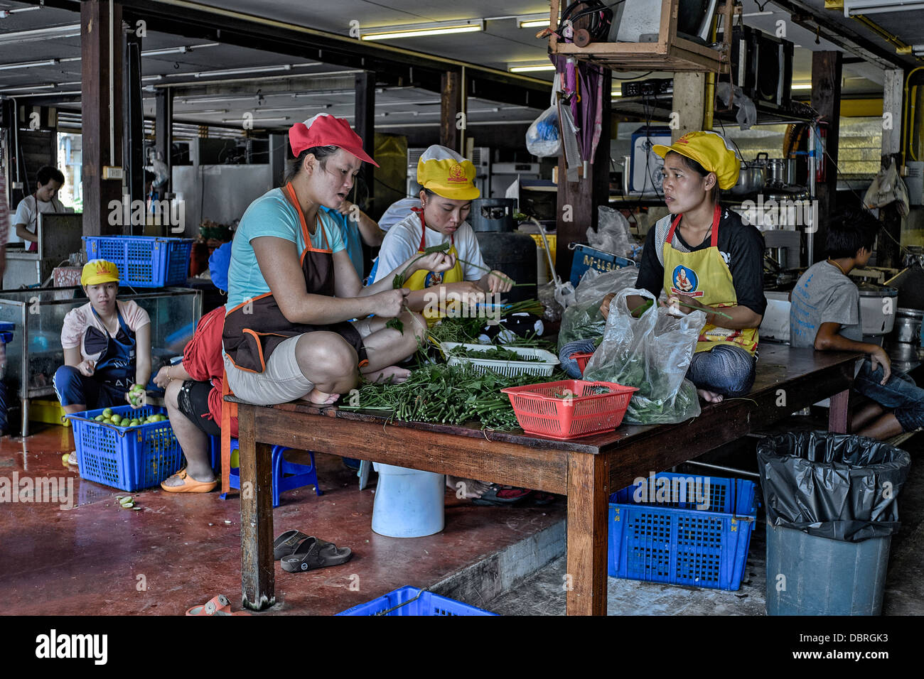 Thailand women working at a food factory and preparing vegetables for ...