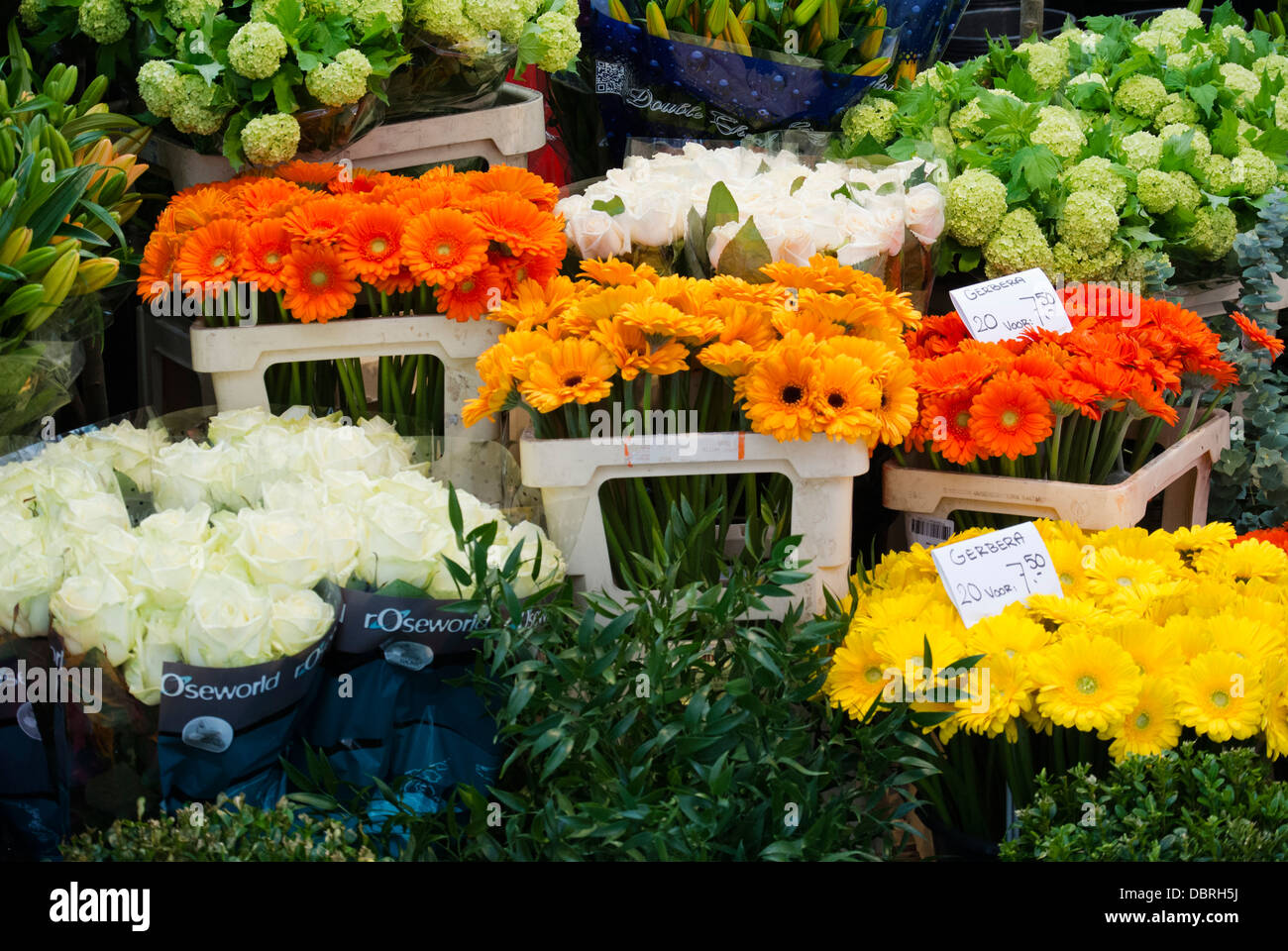 market of flowers amsterdam netherlands Stock Photo - Alamy