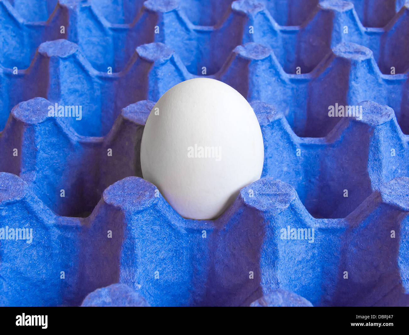 Blue line chicken egg in hi-res stock photography and images - Alamy
