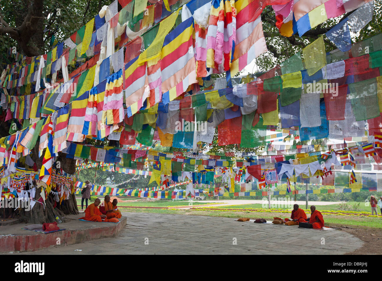 Prayer flags under the pipal tree at birthplace of Buddha, the Maya ...