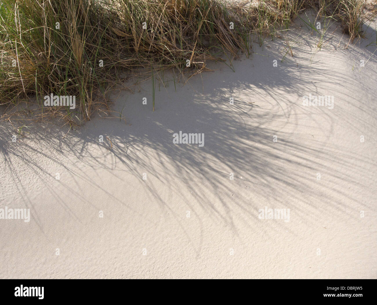 Sandy grass texture hi-res stock photography and images - Alamy