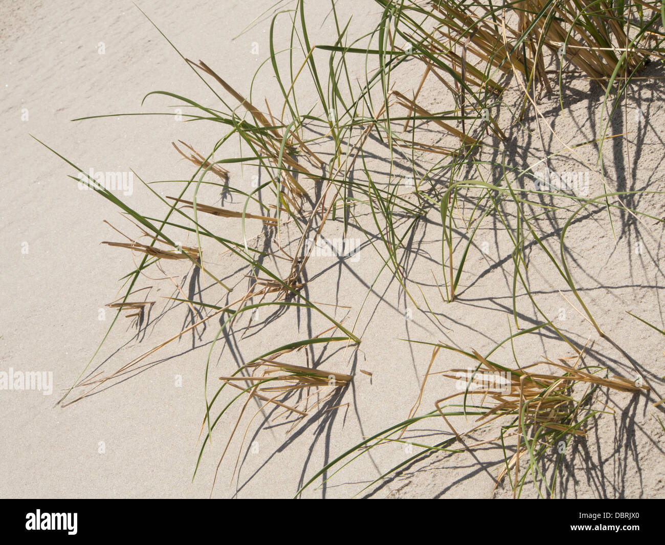 Sola beach outside Stavanger, one of the many sandy stretches on th ...