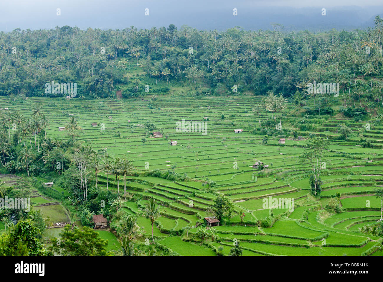 Terraced rice paddies hi-res stock photography and images - Alamy