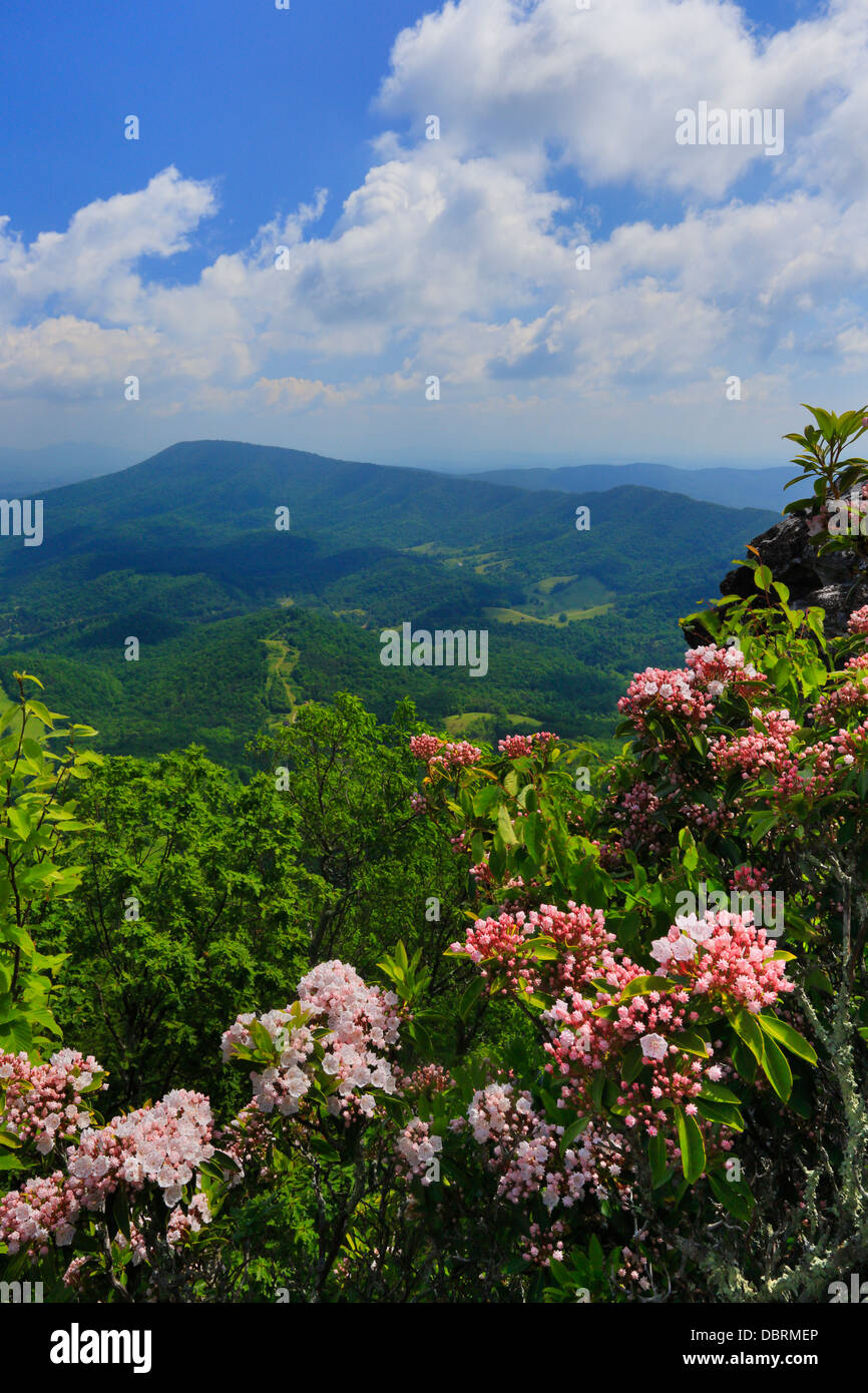 McAfee Knob, Appalachian Trail, Roanoke, Virginia, USA Stock Photo - Alamy