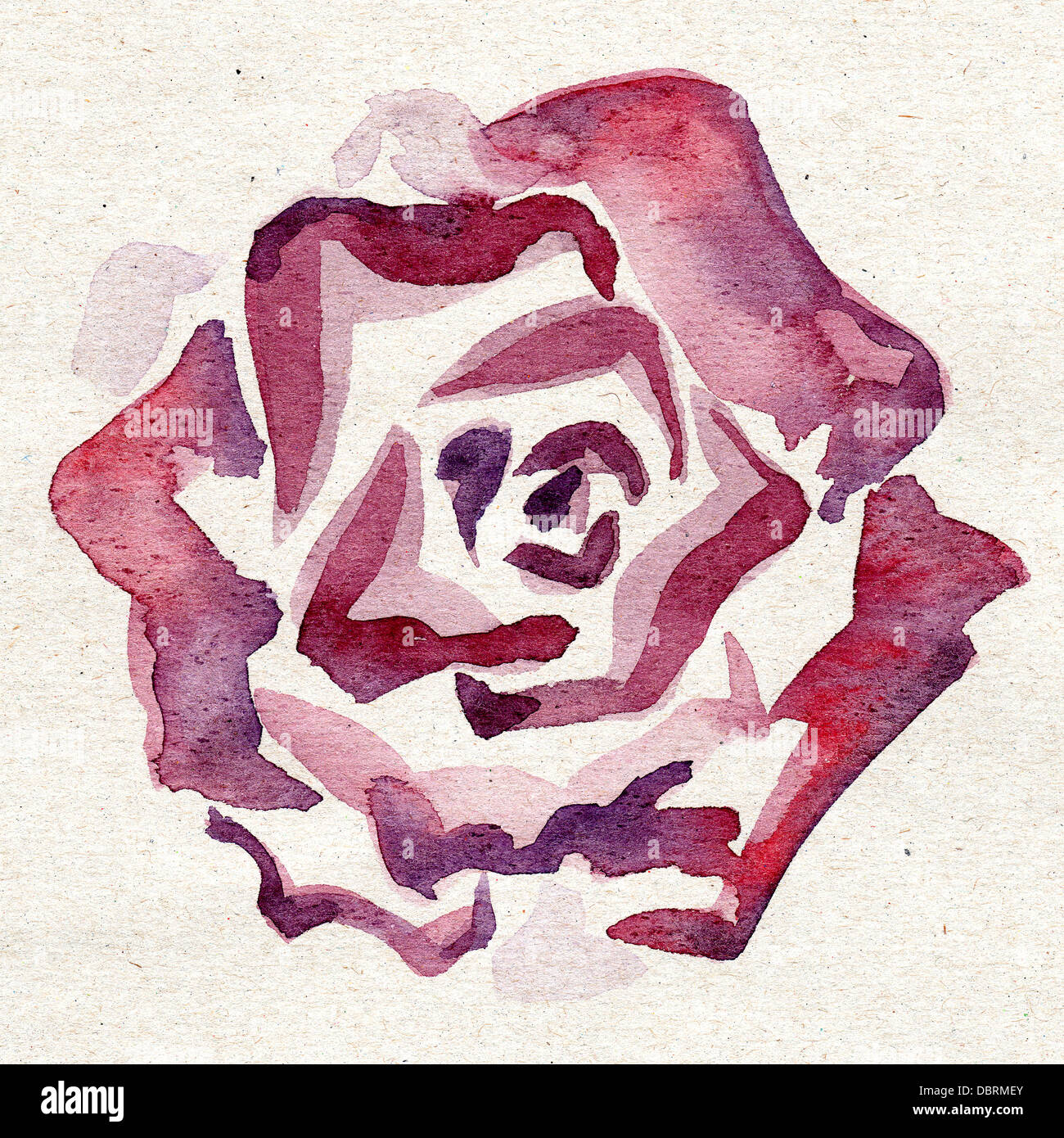 Parchment Rose High Resolution Stock Photography and Images - Alamy