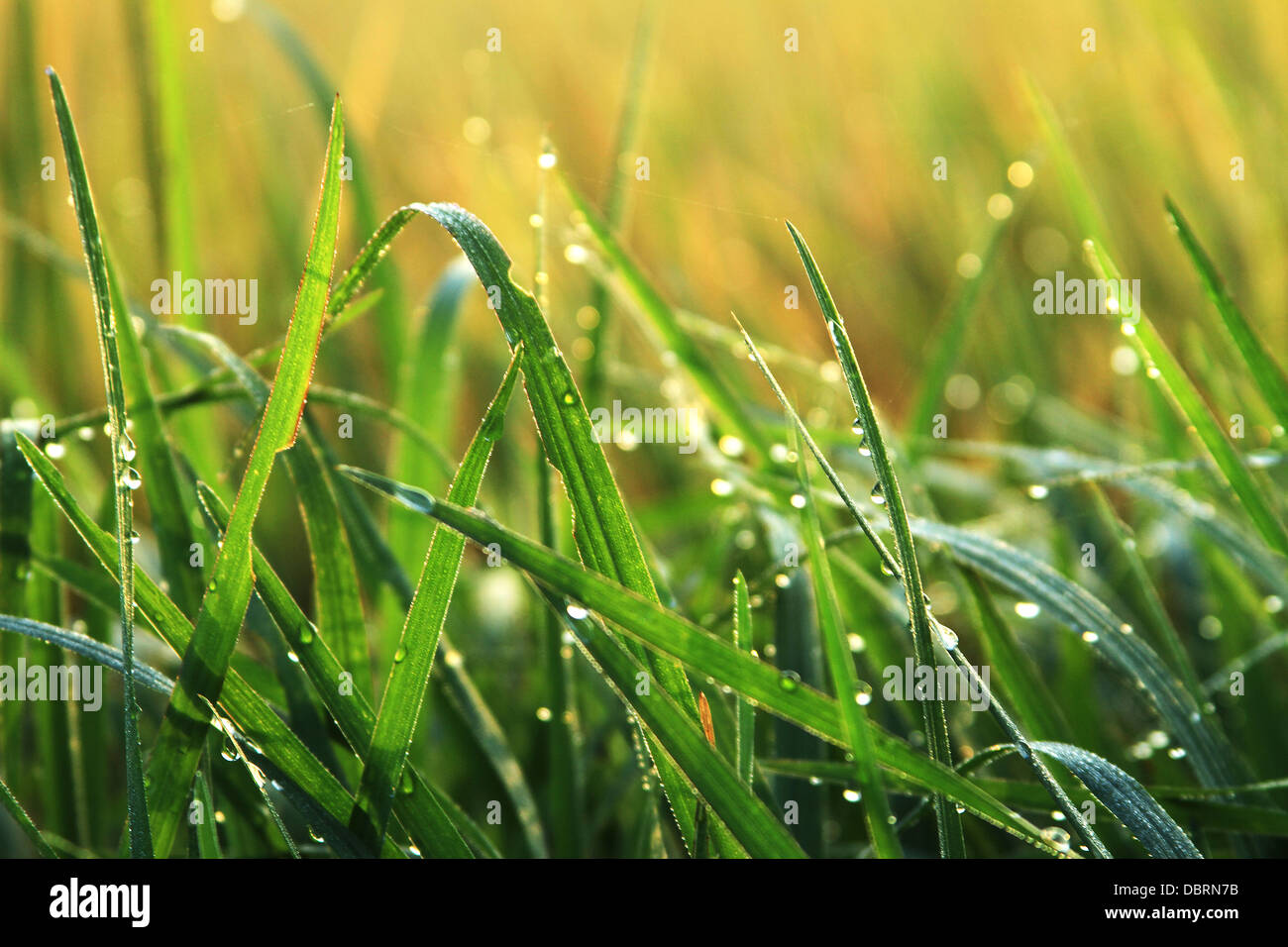 Nightshoot hi-res stock photography and images - Alamy