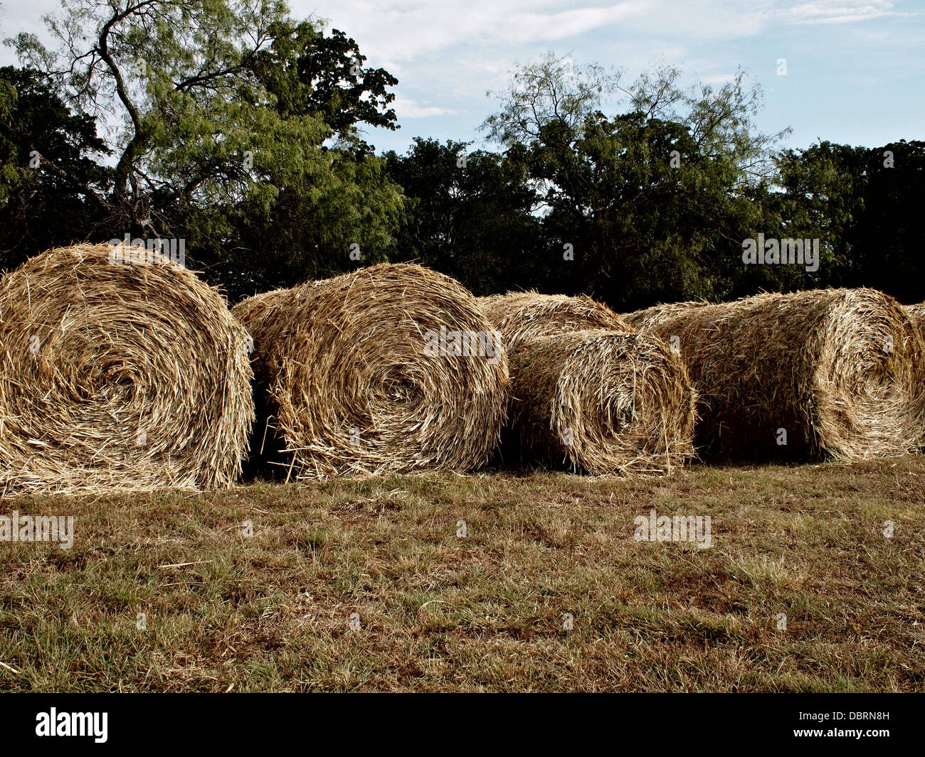 Four bales hi-res stock photography and images - Alamy