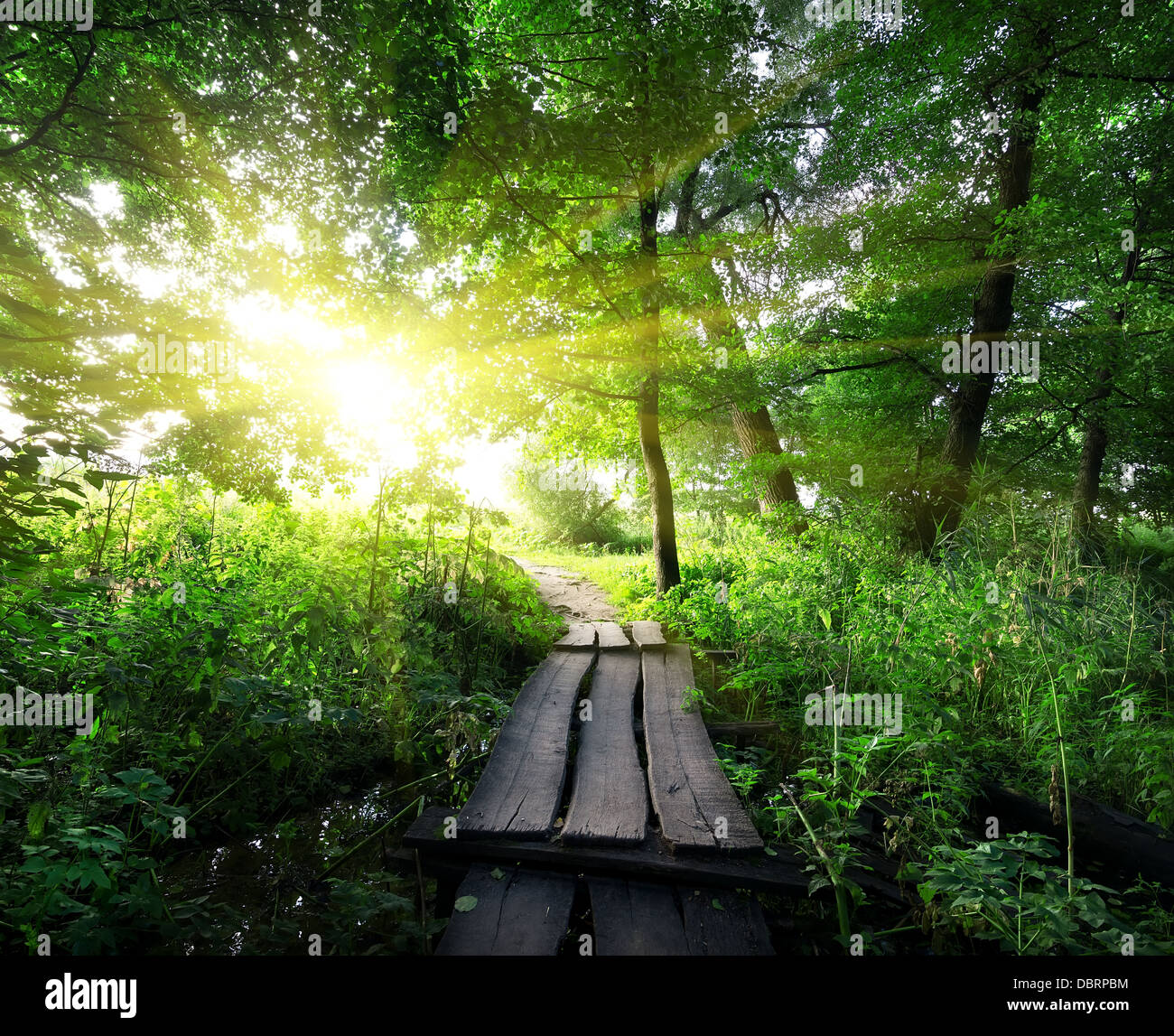 Sunrise over wooden bridge hi-res stock photography and images - Alamy