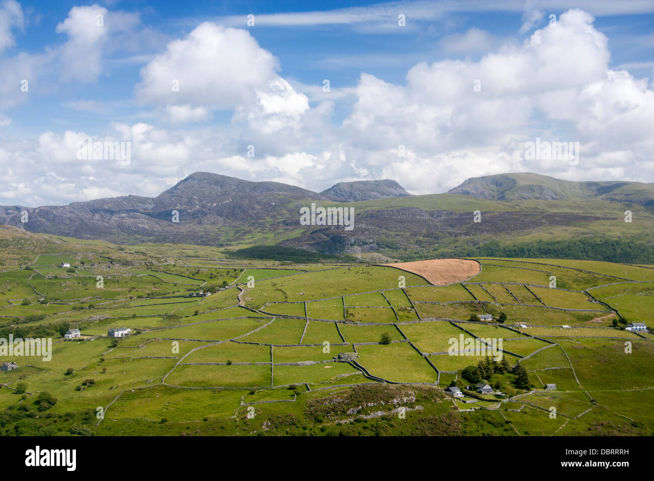Rhinog mountain range part of Snowdonia National Park Farm fields of ...