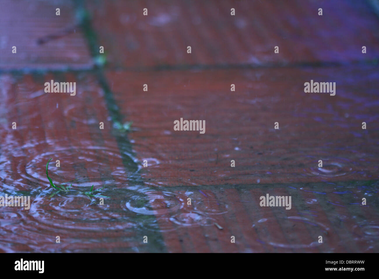 outdoor rain water fall from sky Stock Photo - Alamy