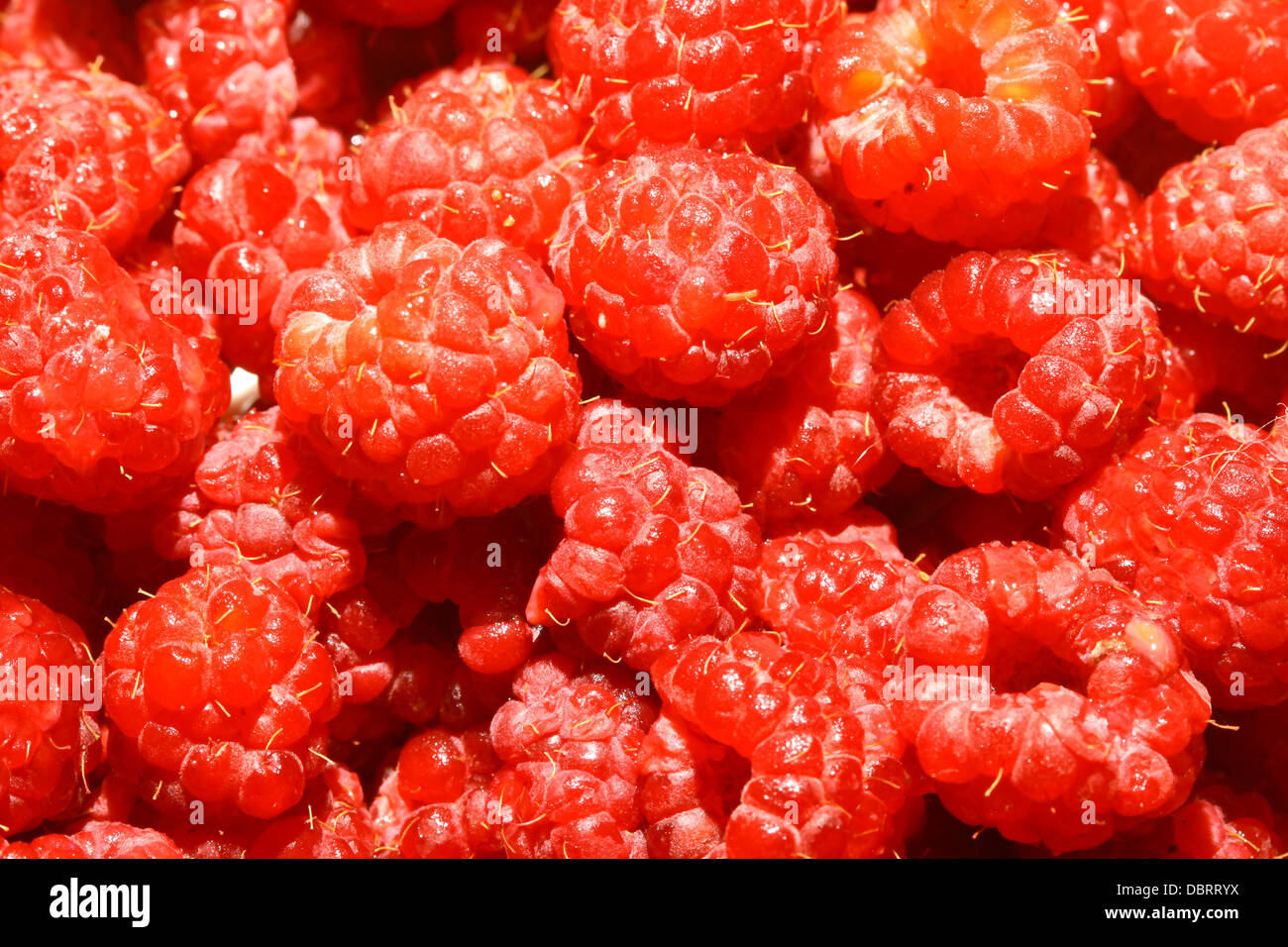 Wild raspberry hi-res stock photography and images - Alamy