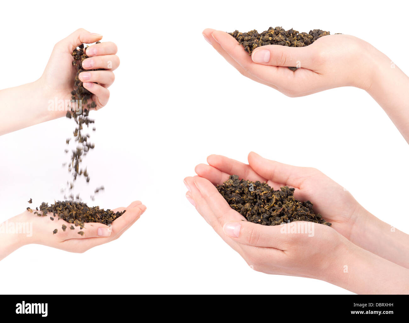 collection of hands holding a tea isolated on a white background Stock ...