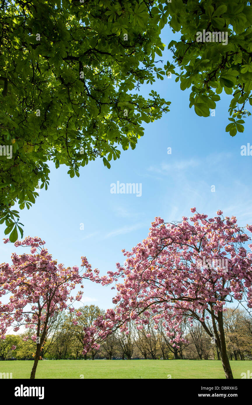 Acton Park, London, United Kingdom Stock Photo - Alamy