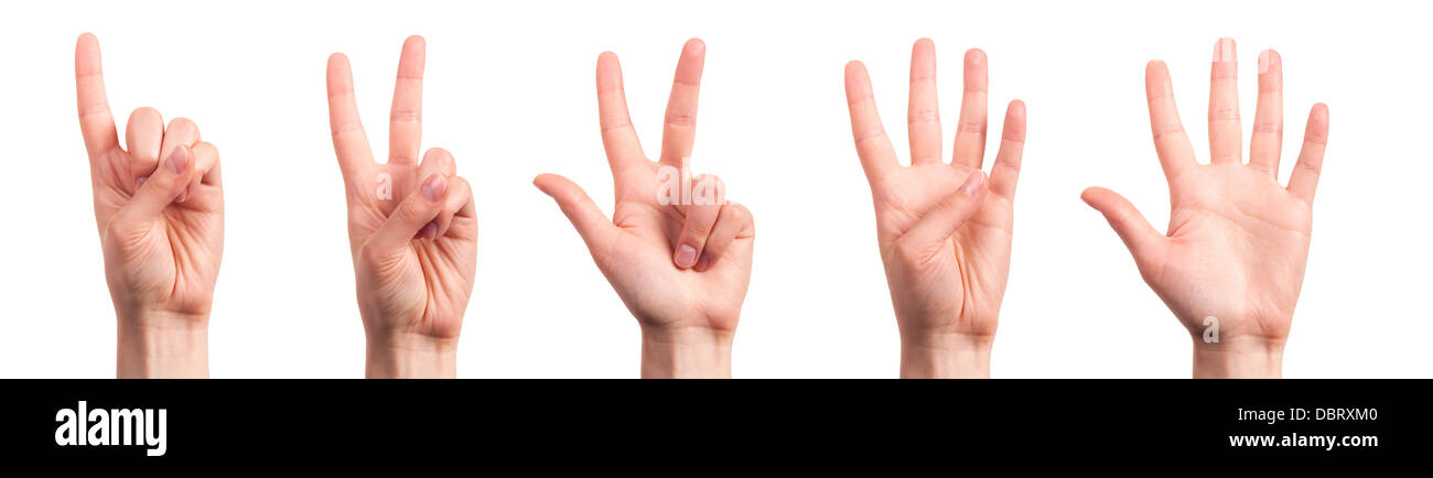 Counting Hands from one to five, isolated over white background Stock ...