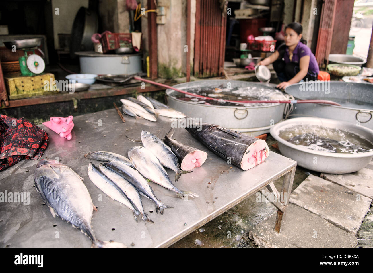 Fresh Fish Market Hanoi Vietnam // HANOI, Vietnam — Fresh fish for sale ...
