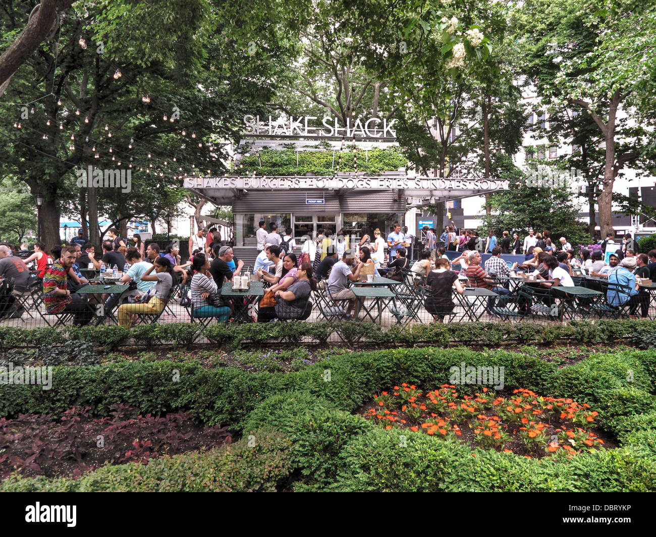 diverse groups of people enjoy eating outside under trees at Madison ...