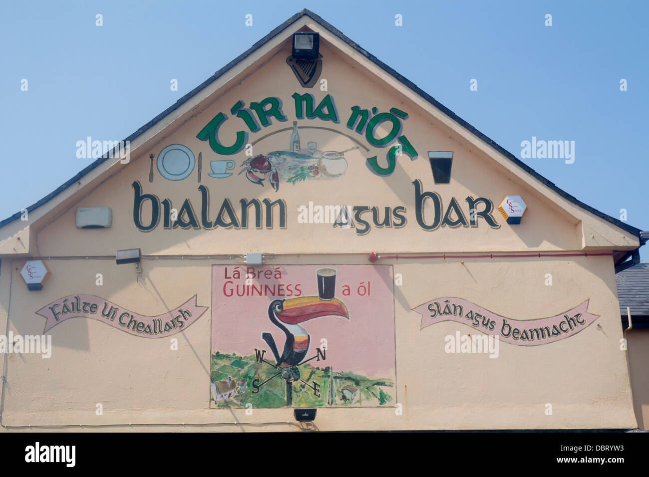 Guinness toucan balancing pint on beak wall art and sign in Gaelic on ...