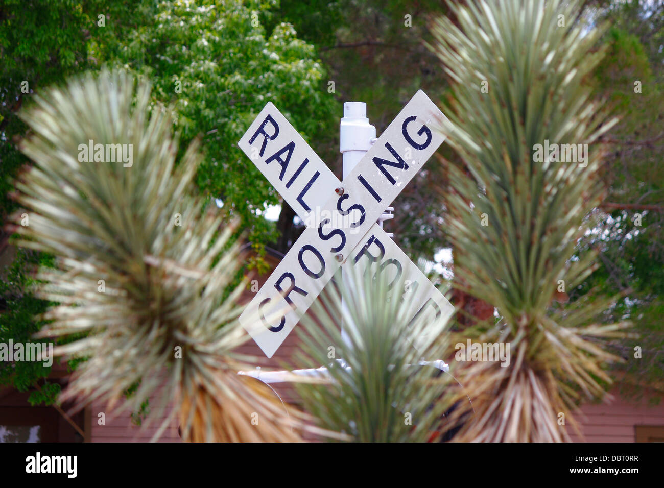 Low angle view people crossing hi-res stock photography and images - Alamy
