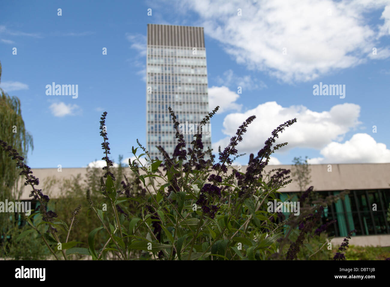 The Arts Tower and University library of Sheffield University from ...
